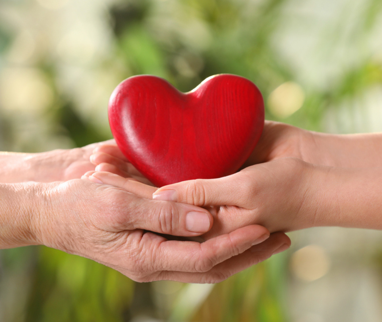 Understanding Organ Donation: How Seniors Benefit from National Donor ...